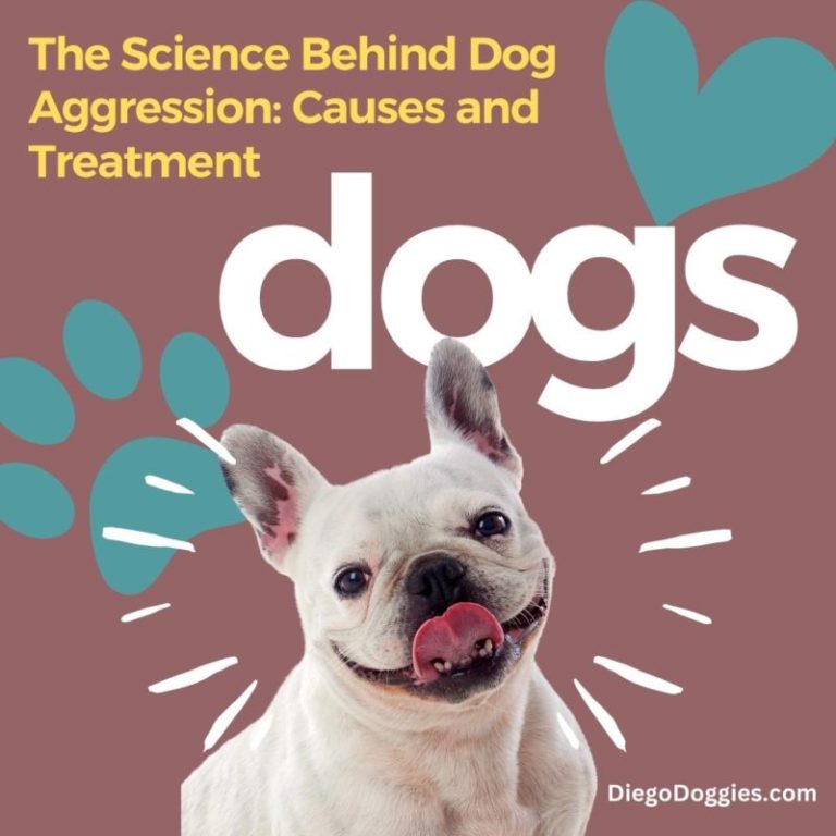 The Science Behind Dog Aggression: Causes and Treatment