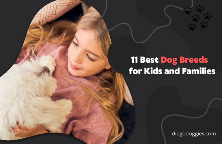 11 Best Dog Breeds for Kids and Families