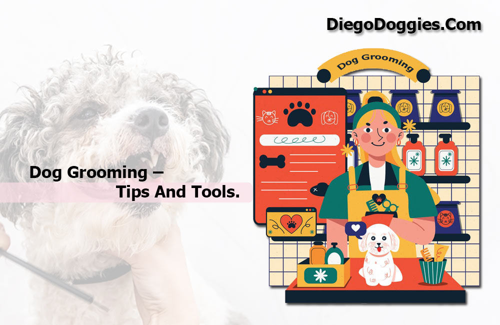 Dog Grooming – Tips And Tools