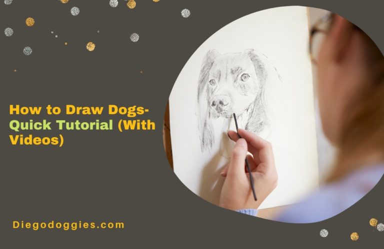 How to Draw Dogs- Quick Tutorial (With Videos)