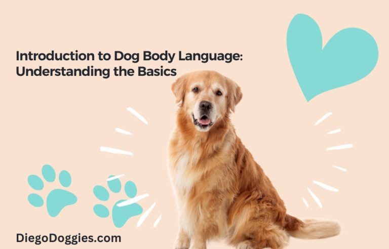 Introduction to Dog Body Language: Understanding the Basics
