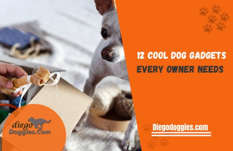 12 Cool Dog Gadgets Every Owner Needs
