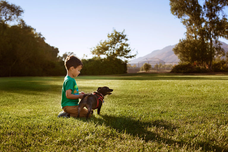 Morley Field Dog Park in Balboa Park - Amazing Canyon Views